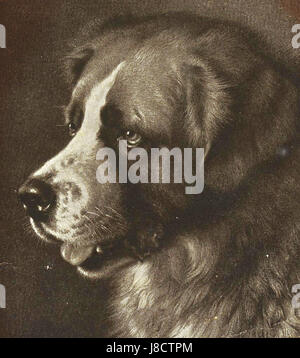 Frank Paton, Bayard, dog of Joseph Echteler Stock Photo - Alamy