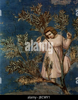 Giotto di Bondone was an Italian painter and architect, known for his ...