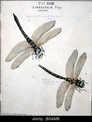 Moses Harris was an English entomologist and illustrator known for his ...