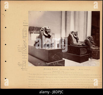 Sphinx by Boston Public Library Stock Photo - Alamy