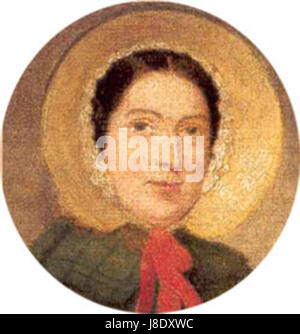 Mary Anning, a pioneering English fossil collector, is depicted in this ...