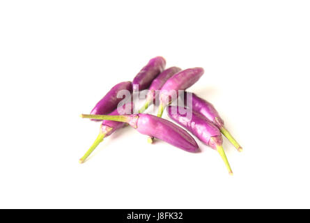 Organic masquerade ornamental purple hot chili pepper plant Stock Photo ...