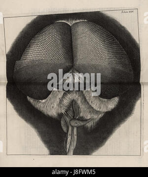 Micrographia schem 1 Instruments refers to detailed illustrations from ...