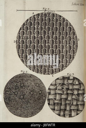 Micrographia, by Robert Hooke, was one of the first books to feature ...
