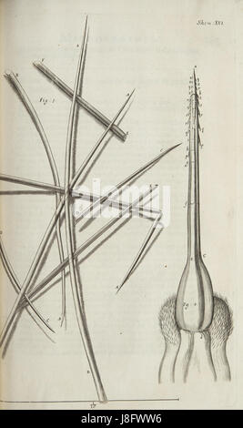 Micrographia, a book by Robert Hooke, includes detailed illustrations ...