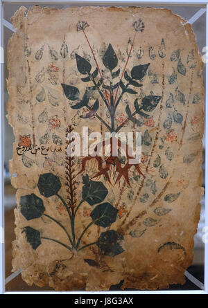 Illustrations in a 13th century manuscript describing a cauterization ...