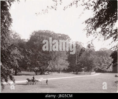 Carl Curman - Dyrehaven Park, Copenhagen, Denmark Stock Photo - Alamy