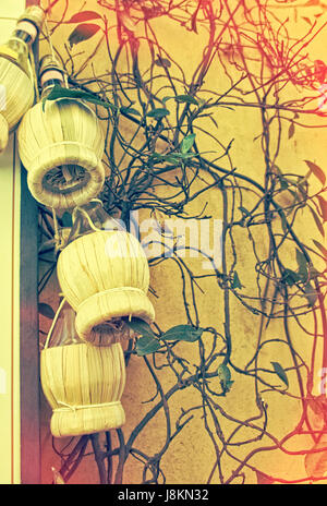 Old traditional fiasco green glass bottles with straw at a vineyard in ...
