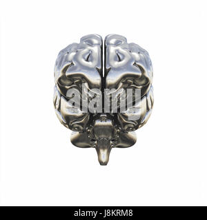 optional, bright, shiny, anatomy, brain, organ, gold, yellow, detail ...