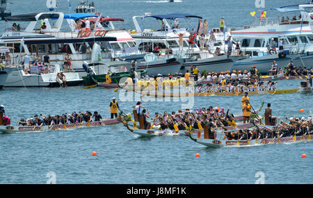 Dragon boats line up for the start of their competition in Aberdeen ...