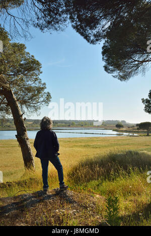 Melides lagoon with rice fields. Portugal Stock Photo - Alamy
