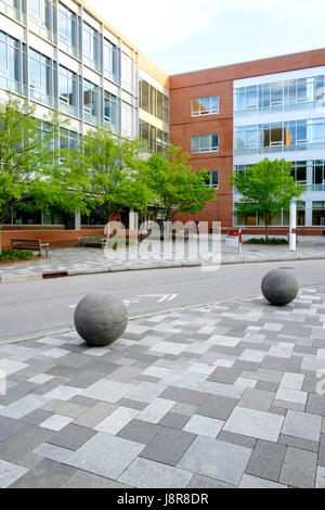 SAS Hall, home of Department of Mathematics and Department of ...