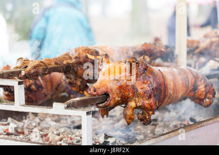Traditionally suckling pig on a rotating spit with fire and smoke.Very ...