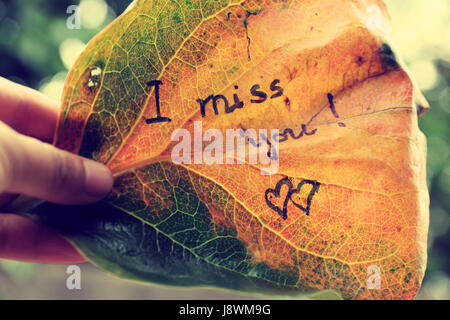 Woman hold nice yellow leaf in hand Stock Photo - Alamy