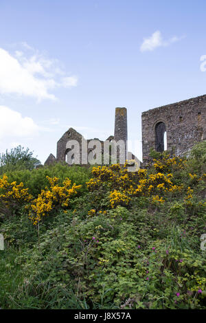 Cornish tin mine buildings, Camborne Stock Photo - Alamy