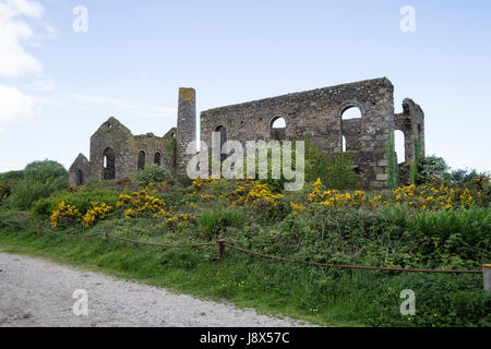 Cornish tin mine buildings, Camborne Stock Photo - Alamy