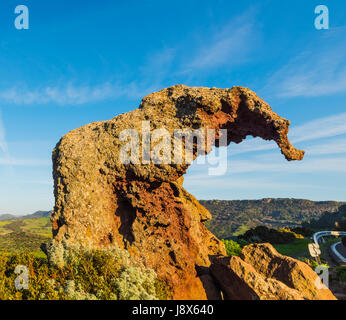 Famous Elephant rock in Sardinia, Italy Stock Photo - Alamy