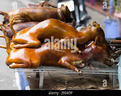 Cooked dog for buying on the stall in the capital city of Vietnam Stock ...