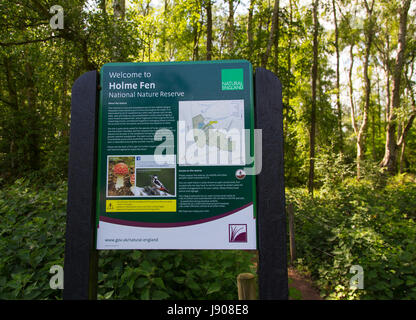 Holme Fen, Nature Reserve Stock Photo - Alamy