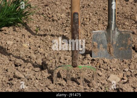 spading fork and spade in soil Stock Photo - Alamy