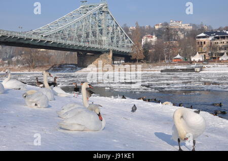 blue wonder in dresden Stock Photo - Alamy