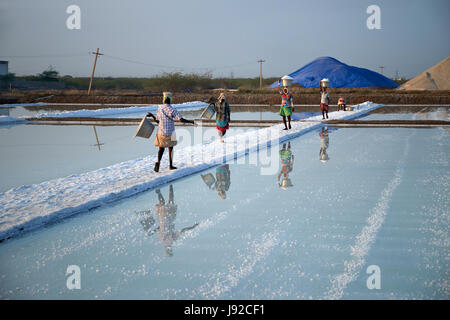 Salt pans on tuticorin Salt Lake, India. It is India's largest saline ...