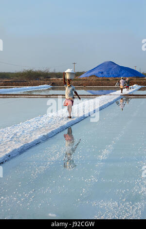 Salt pans on tuticorin Salt Lake, India. It is India's largest saline ...