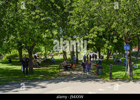 Bellmead Park - Chelmsford, Essex, England, UK Stock Photo - Alamy