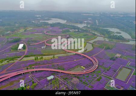 Suqian, Suqian, China. 3rd June, 2017. Suqian, CHINA-June 3 2017 ...