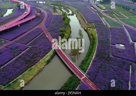 Suqian, Suqian, China. 3rd June, 2017. Suqian, CHINA-June 3 2017 ...