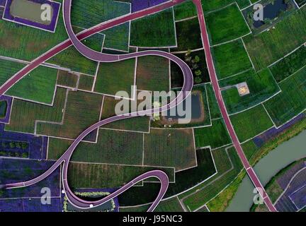 Suqian, Suqian, China. 3rd June, 2017. Suqian, CHINA-June 3 2017 ...