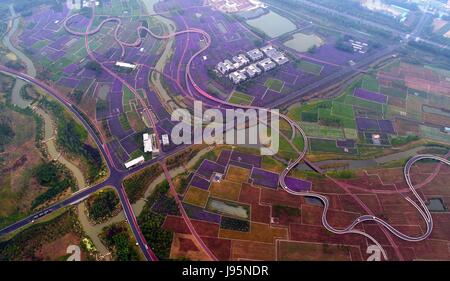 Suqian, Suqian, China. 3rd June, 2017. Suqian, CHINA-June 3 2017 ...