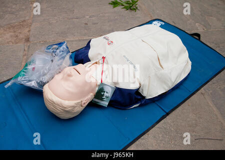CPR manikin (aka Resusci Anne, Rescue Anne, Resusci Annie, CPR Annie ...