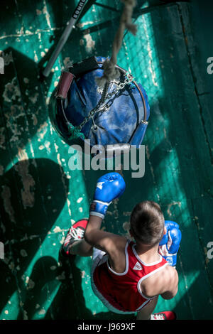 Young boxer trains with punching bag in gym Stock Photo - Alamy