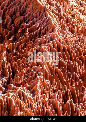 Red Tsingy. Typical landscape. Madagascar Stock Photo - Alamy