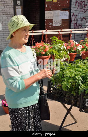 Female gardener chooses sprouts at market Stock Photo - Alamy