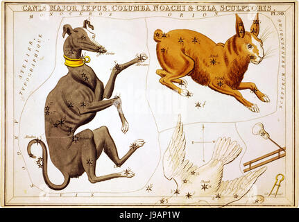 Sidney Hall, Canis Major, Lepus, Columba Noachi and Cela Sculptoris ...