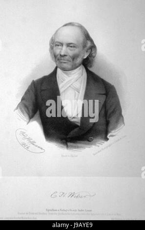 Ernst Heinrich Weber Litho Stock Photo - Alamy