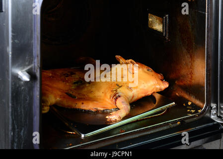 suckling pig roasted in the oven on a white background Stock Photo - Alamy