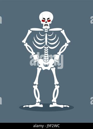 Hand drawn skull. Sketch anatomical skulls in different angles, gothic ...