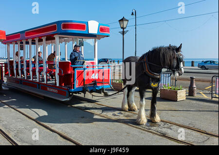 Manx transport Horse Drawn tram douglas isle of man IOM Stock Photo - Alamy