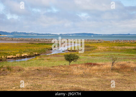 Columbia River estuary, Battery Pratt, Fort Stevens, historical site ...