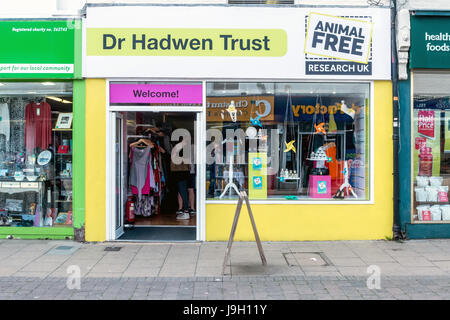 Charity shops in Hove's George Street Stock Photo - Alamy