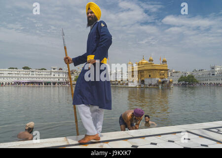 Volunteer security guard at golden temple, amritsar, punjab, India ...