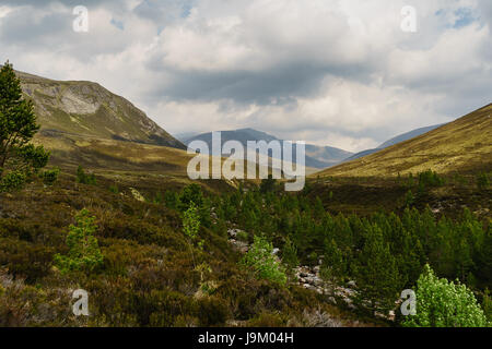 The Bothy Braemar, Cairngorms National Park, restaurant and cafe in the ...