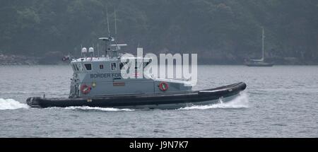 Border Force Coastal RIB Stock Photo - Alamy