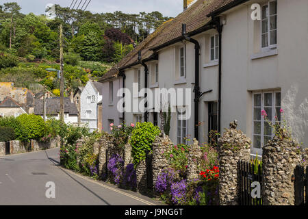 Pretty cottages in Clapp's Lane, Beer, Devon, with valerian (valeriana ...