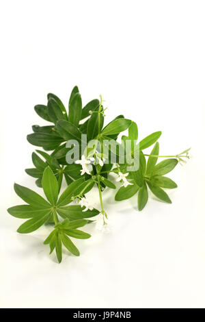 flavour, taste, smell, woodruff, herbs, spice, green, alcohol, spring ...