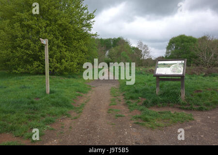 Information board and path at Highgate Common. Staffordshire Wildlife ...