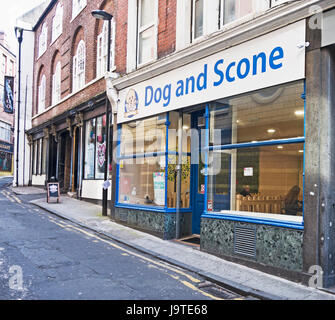 Newcastle upon Tyne, UK. 03 October, 2015. South Africa v Scotland ...